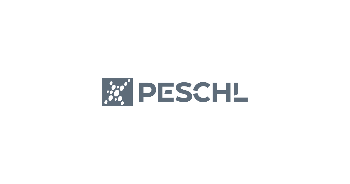 Step by Step | Peschl Consulting
